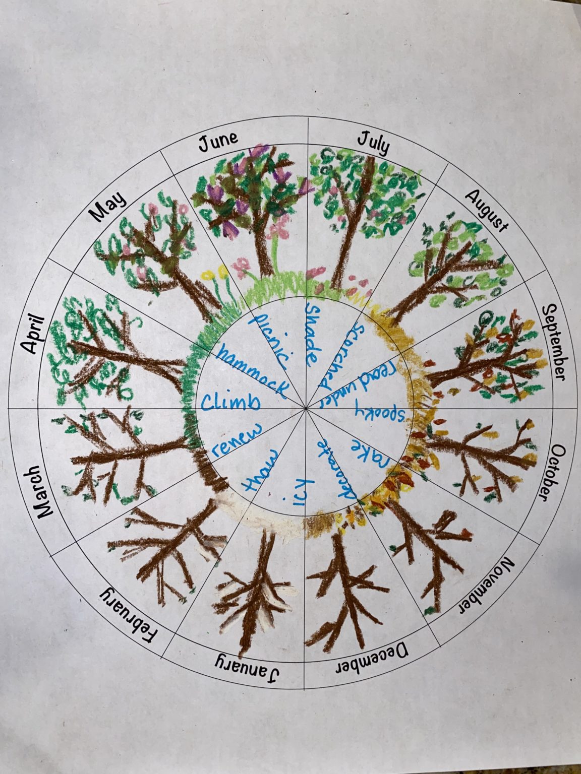 Phenology Wheel » homeschoolinspirations.com