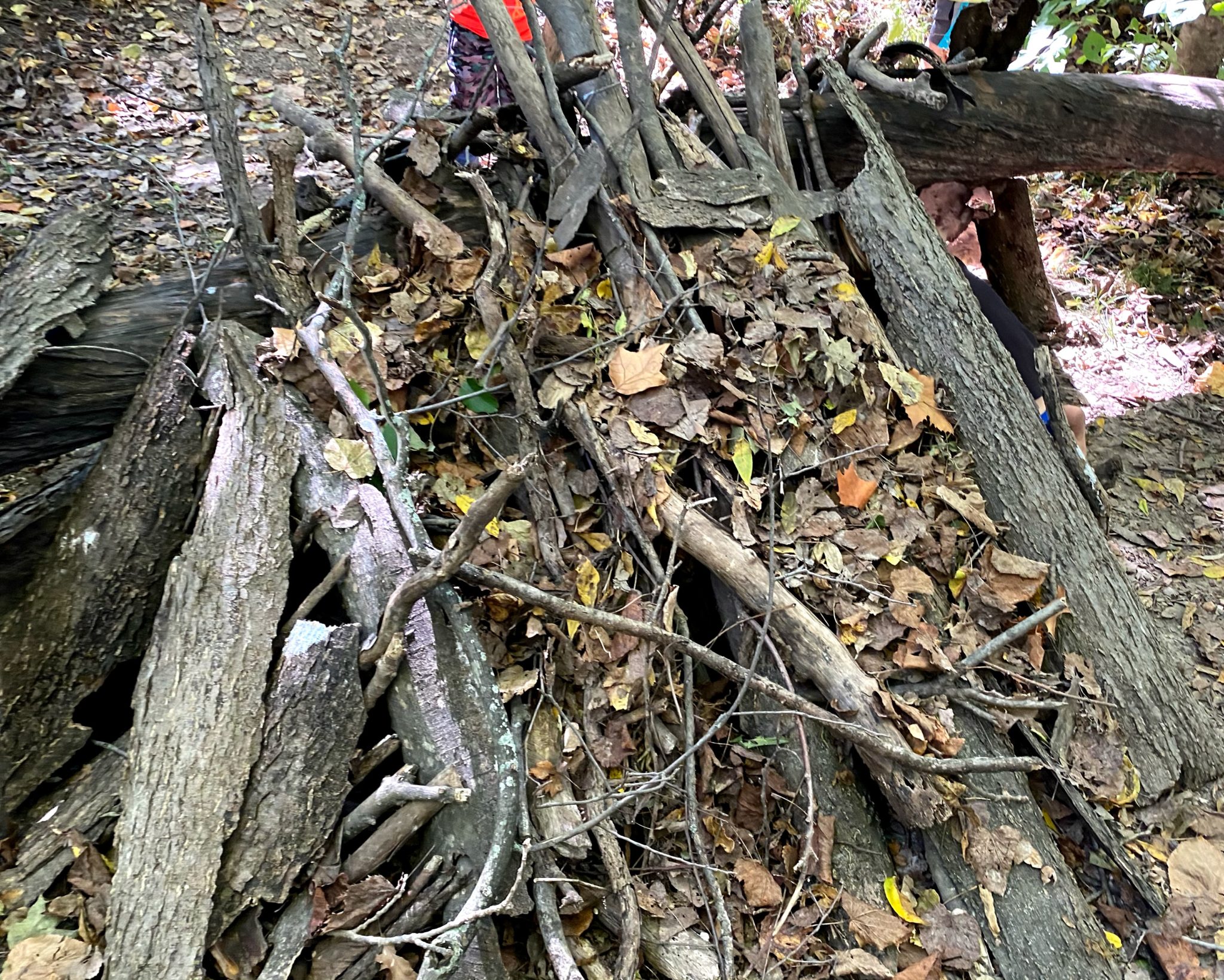 Building Shelters in Nature » homeschoolinspirations.com